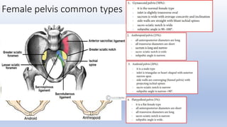 Mr procedure of pelvis and hip joint | PPTX