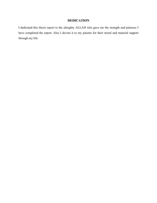 Mini Research Report by Iliyas Sufiyan Abdella | PDF