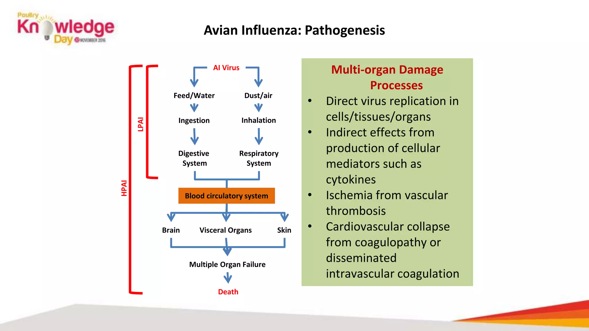 Diseases Among Layers & Broilers in India - Knowledge Day 2016 | PPT