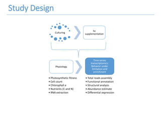 Phaeocystis-antarctica-transcriptomics-AM | PPT