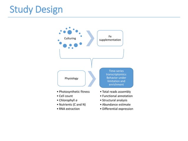 Phaeocystis-antarctica-transcriptomics-AM | PPT