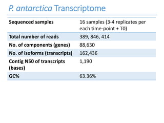 Phaeocystis-antarctica-transcriptomics-AM | PPT