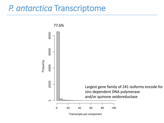 Phaeocystis-antarctica-transcriptomics-AM | PPT