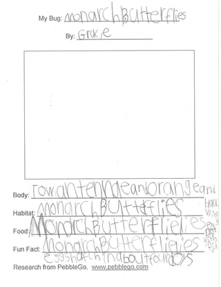 Mrs. denzine's class bug research | PDF