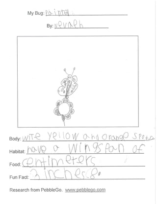 Mrs. denzine's class bug research | PDF