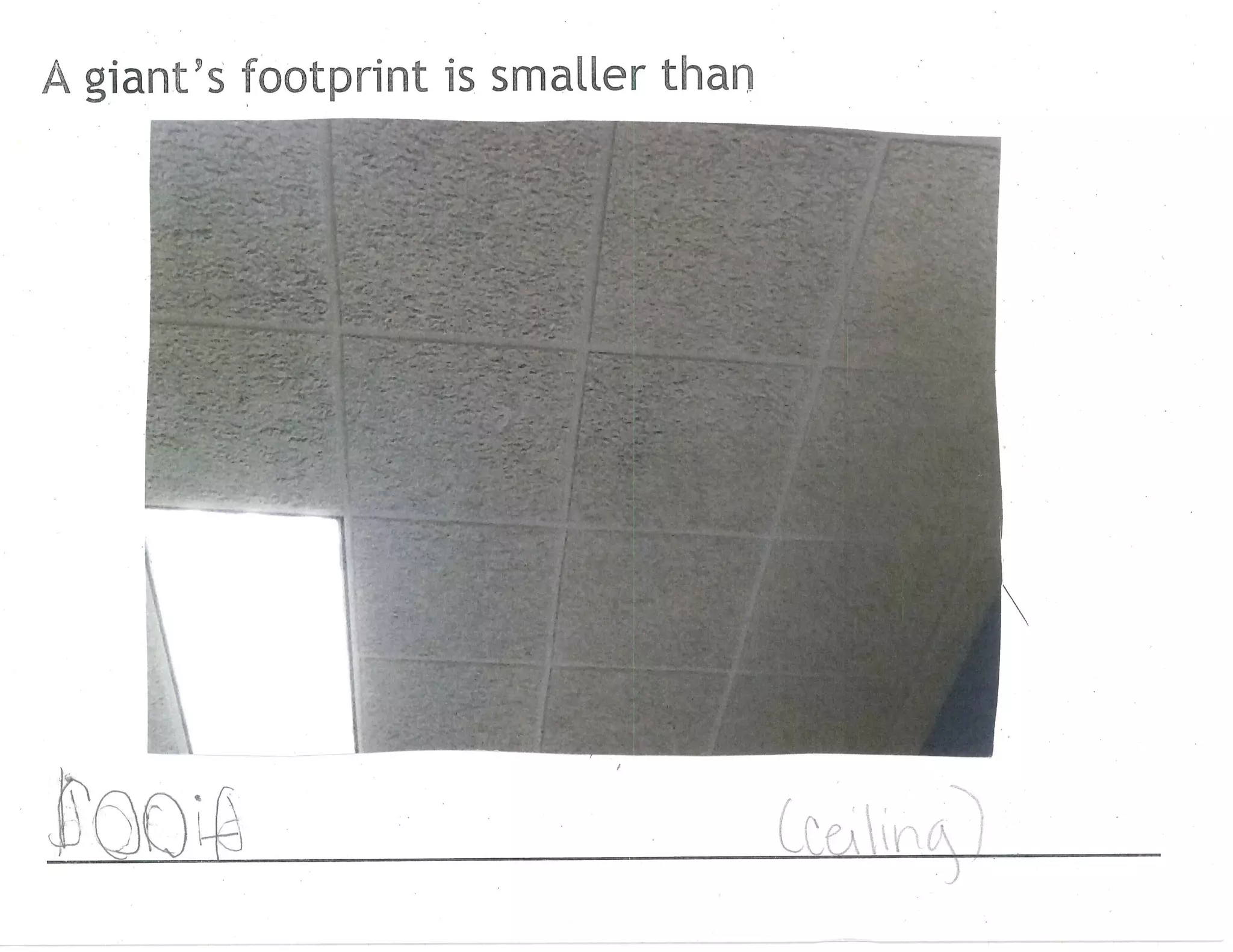 Mrs. seyer's class giant footprint | PPT