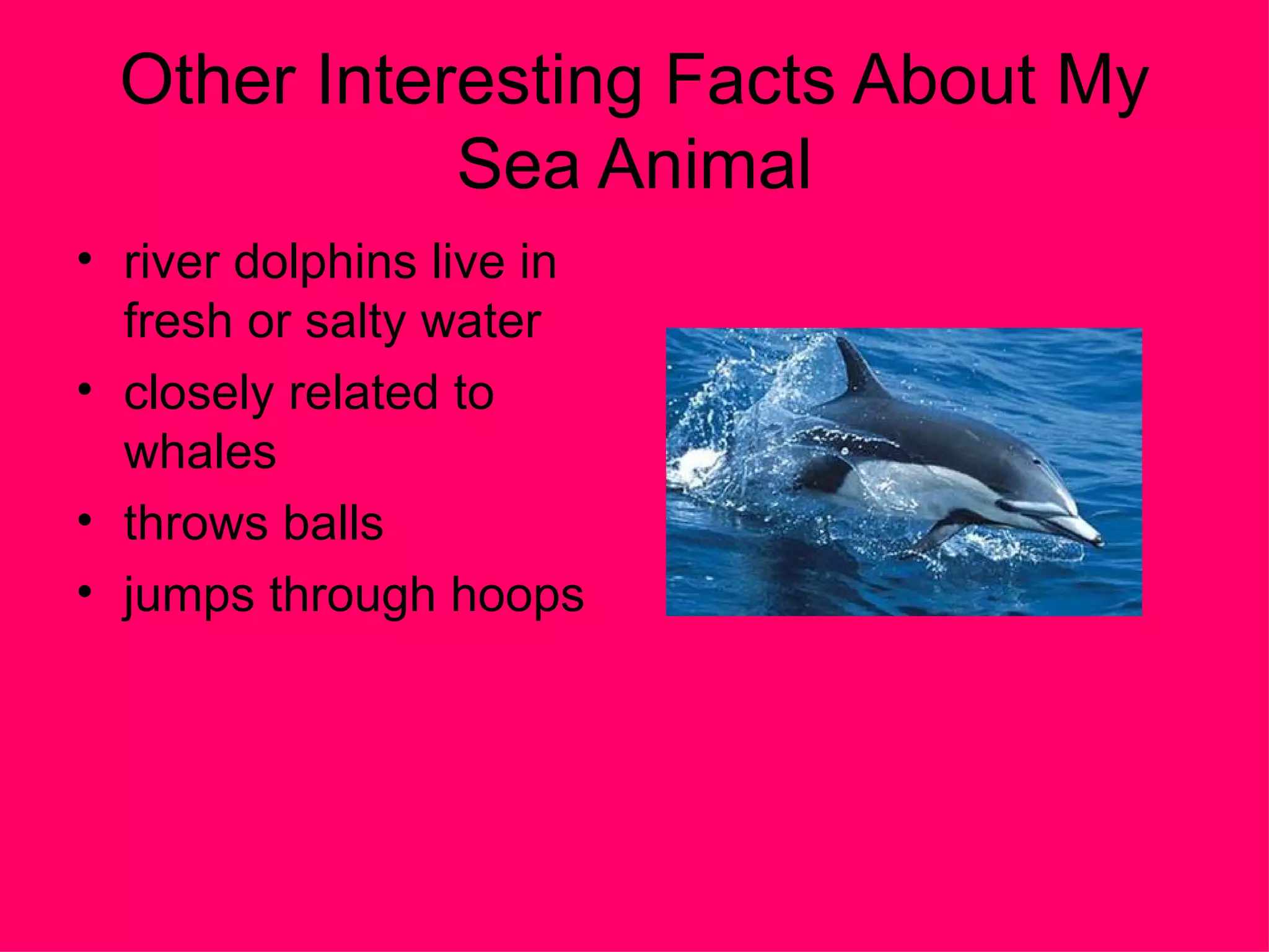 Mrs. Bousquet Grade 2 Sea Animals | PPT