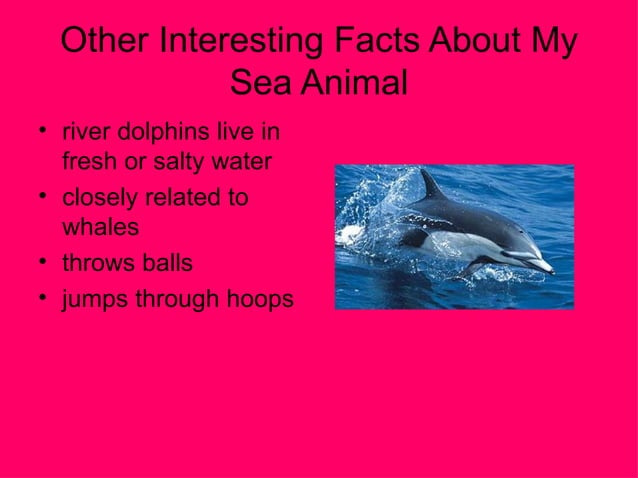 Mrs. Bousquet Grade 2 Sea Animals | PPT | Fish and Aquariums | Pets