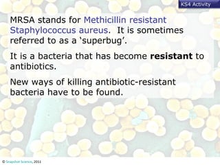MRSA | PPT