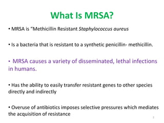 Mrsa | PPSX