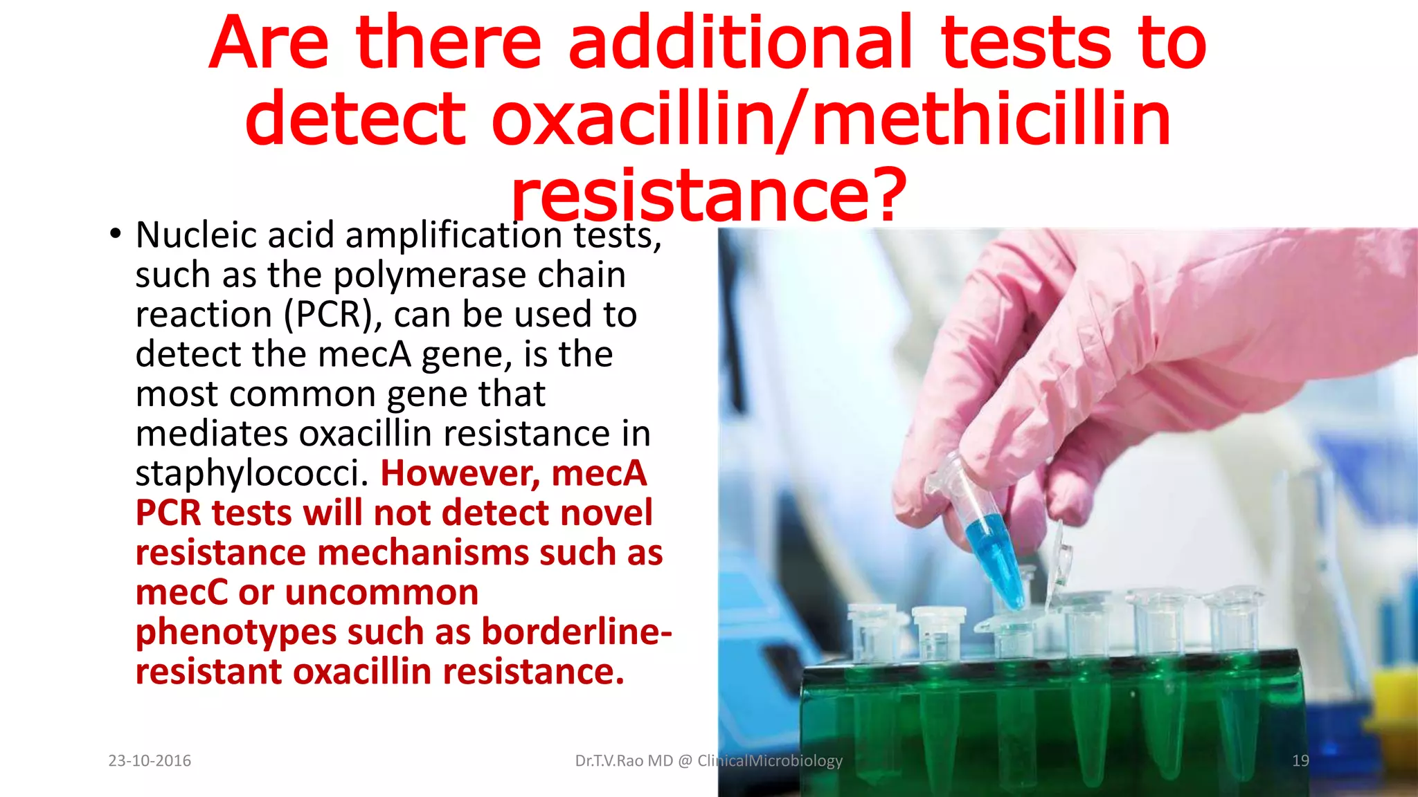 Screening for MRSA | PPTX