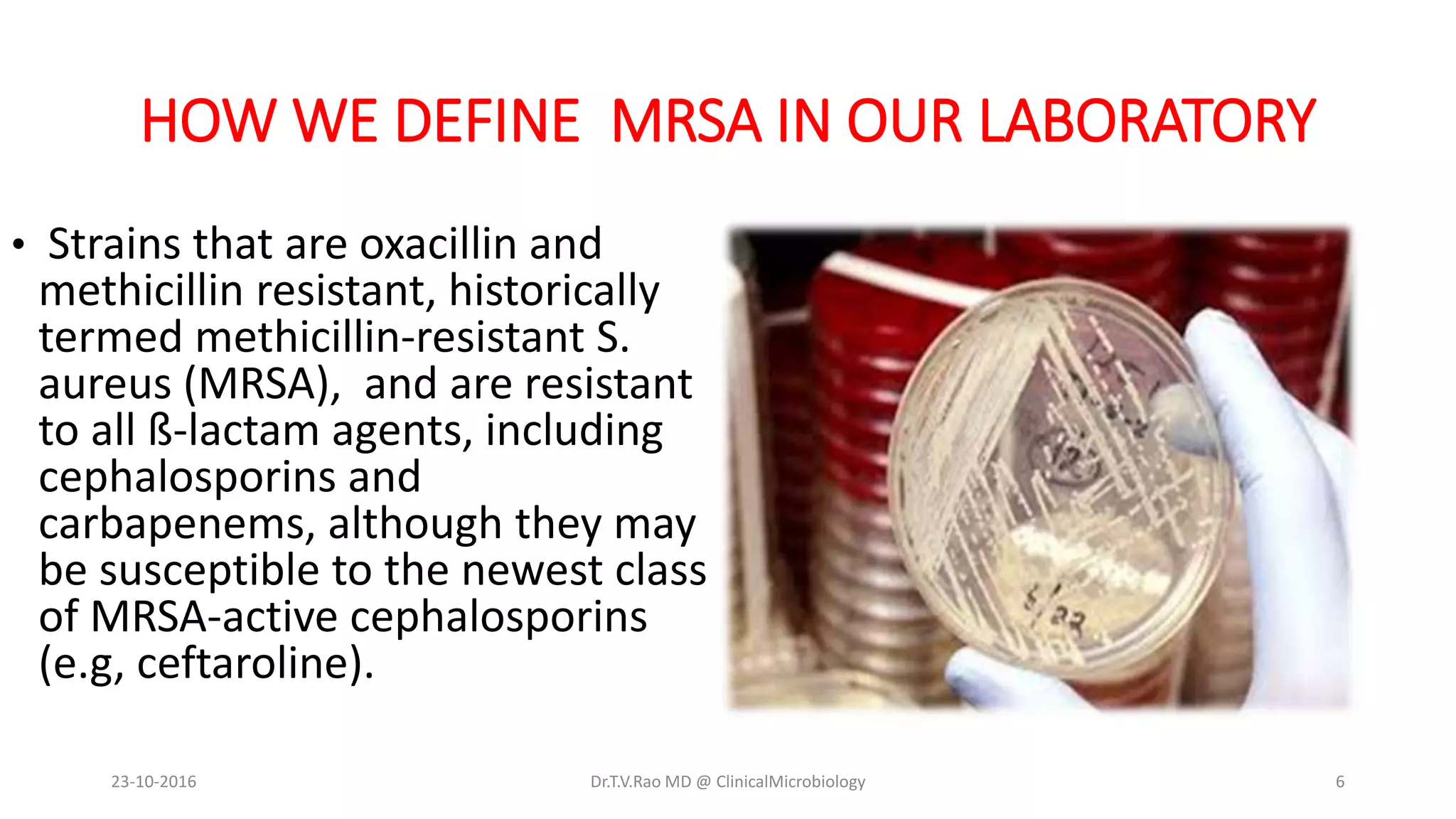 Screening for MRSA | PPTX