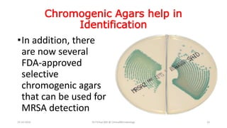 Screening for MRSA | PPTX