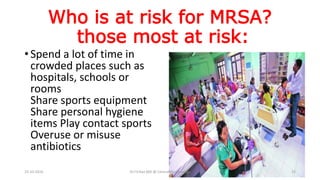 Screening for MRSA | PPT