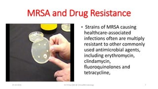 Screening for MRSA | PPTX
