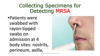 Screening for MRSA | PPT
