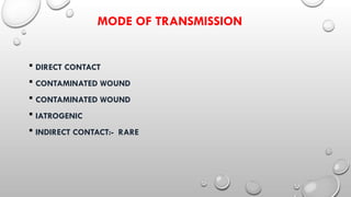 Methicillin resistance staphylococcus aurous bacteria | PPT