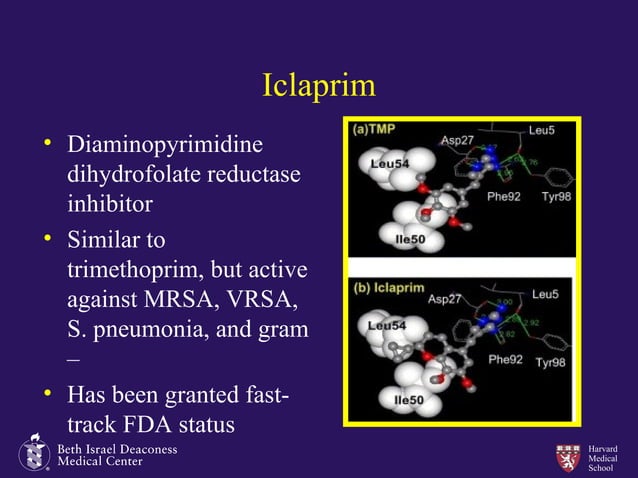 Contact Precautions and MRSA | PPT | Infectious Diseases | Diseases and ...