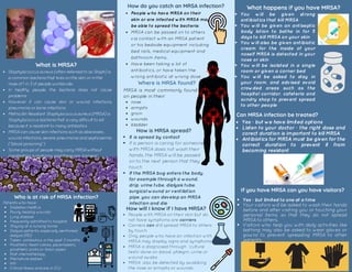 MRSA Brochure Simple English for the layman.pdf