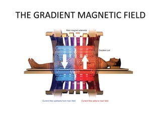 MRI SAFETY | PPTX | Physics | Science