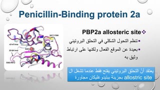 Penicillin Binding protein of MRSA | PPT