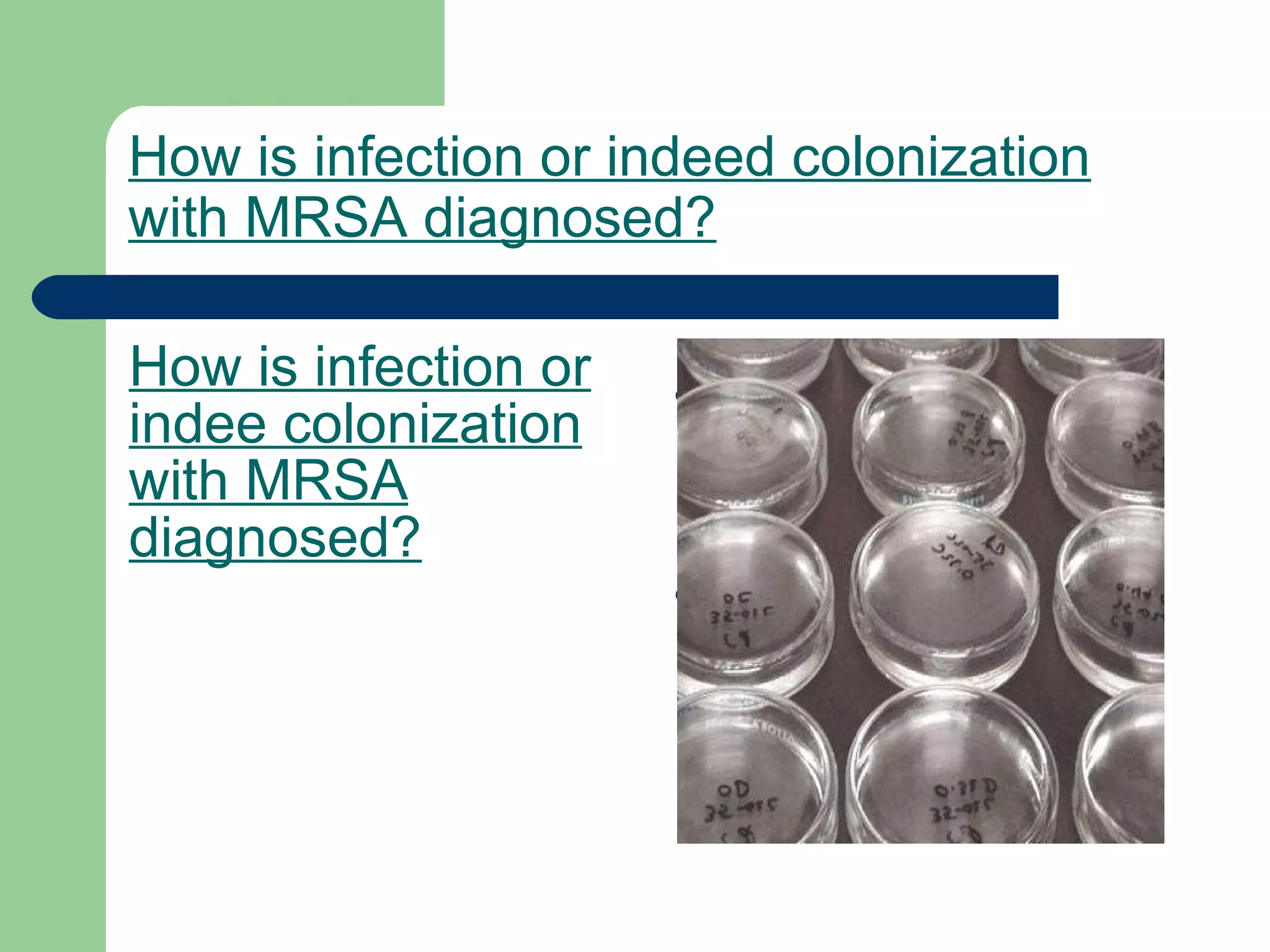 Mrsa ppt | PPT