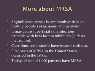 Mrsa ppt | PPT