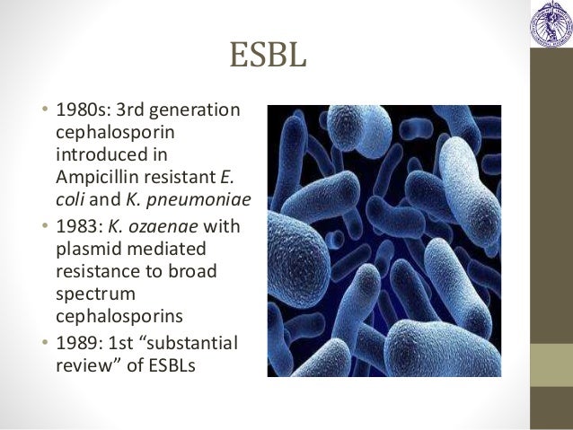 Specific Multi-drug Resistance MRSA-VRSA-ESBL-KPC
