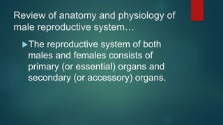 MALE REPRODUCTIVE SYSTEM | PPTX