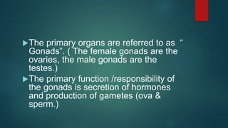 MALE REPRODUCTIVE SYSTEM | PPTX