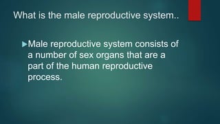 MALE REPRODUCTIVE SYSTEM | PPTX