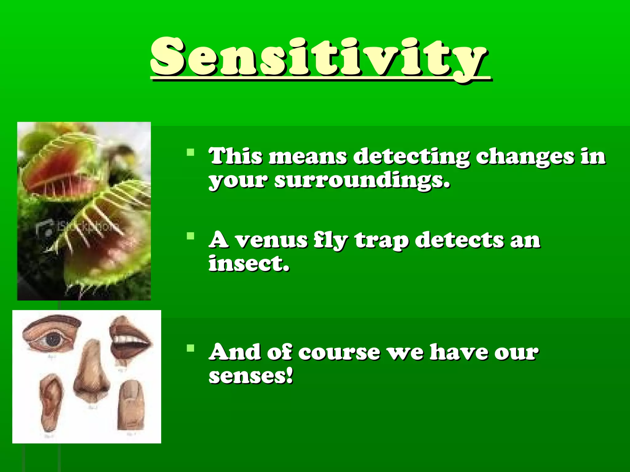 Mrs gren | PPT