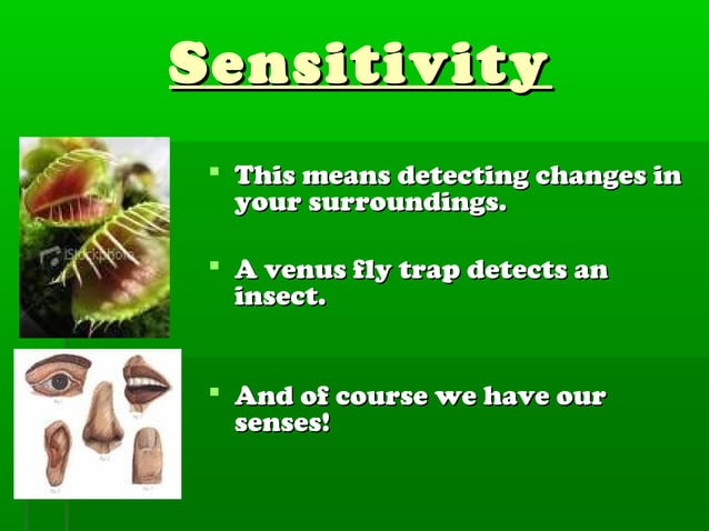 Mrs gren | PPT