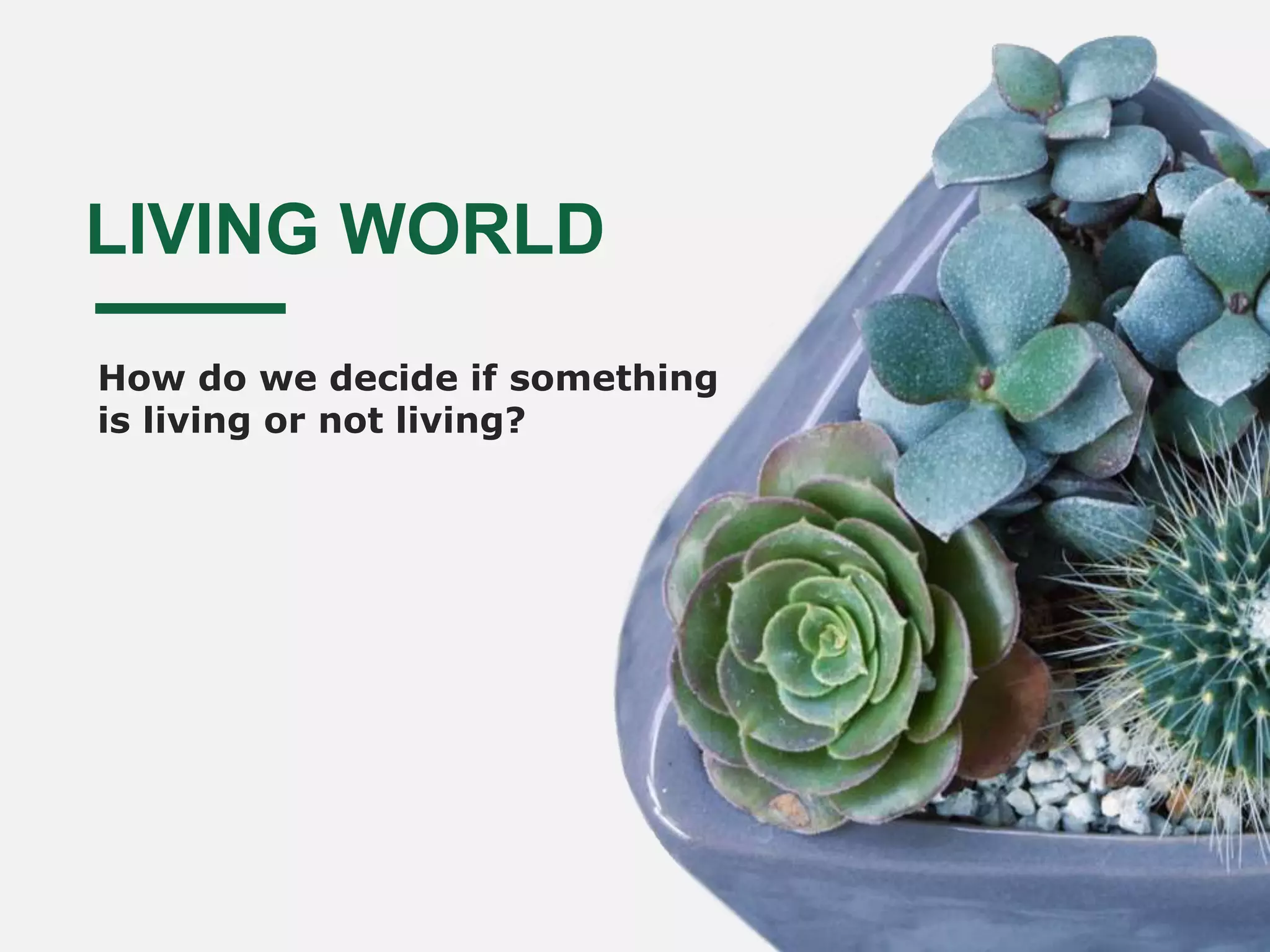 Mrs gren - Living and non living things | PPTX | Biological Sciences ...