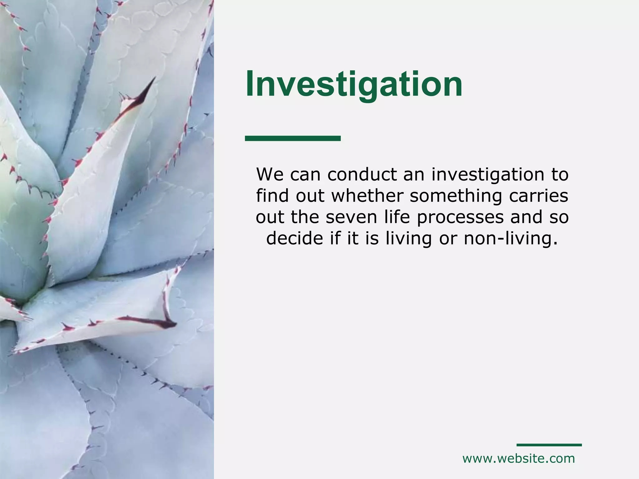 Mrs gren - Living and non living things | PPTX | Biological Sciences ...