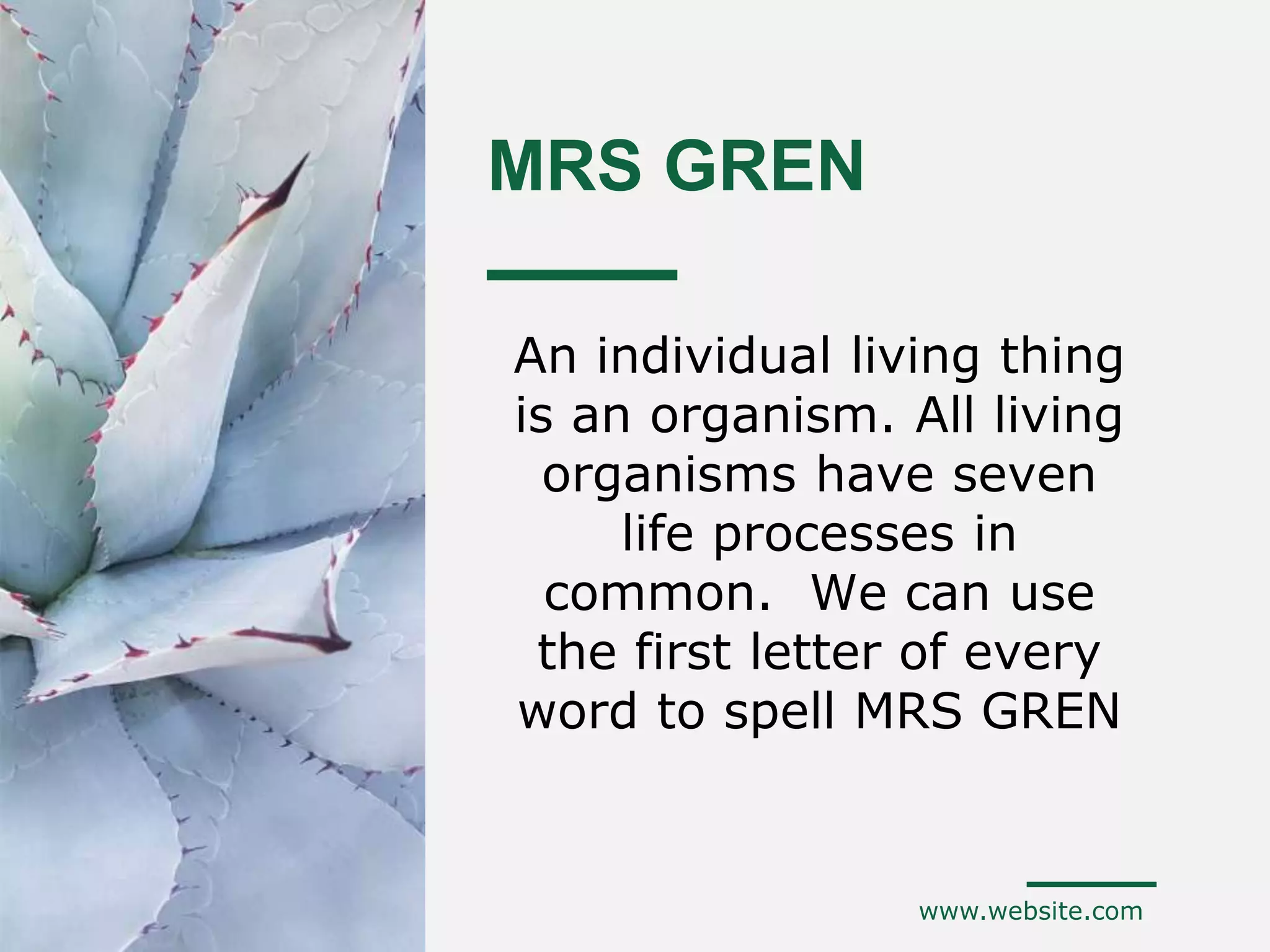 Mrs gren - Living and non living things | PPTX