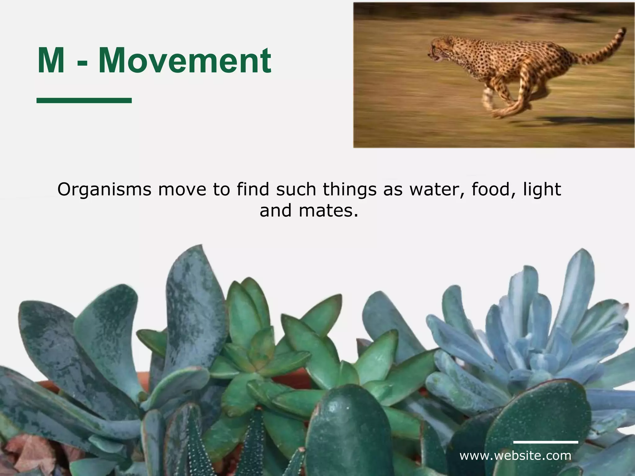 Mrs gren - Living and non living things | PPTX