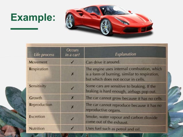 Mrs gren - Living and non living things | PPTX | Biological Sciences ...
