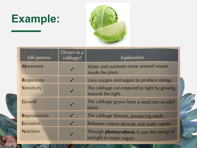 Mrs gren - Living and non living things | PPTX | Biological Sciences ...