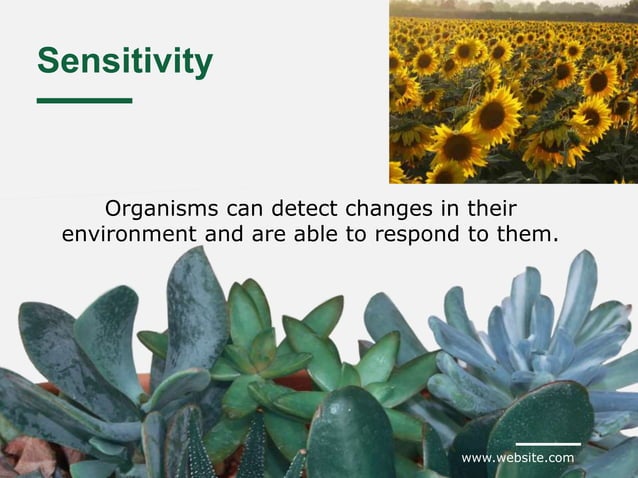 Mrs gren - Living and non living things | PPTX | Biological Sciences ...