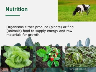 Mrs gren - Living and non living things | PPTX