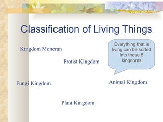 Mrs gren and kingdoms | PPT