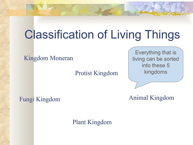 Mrs gren and kingdoms | PPT