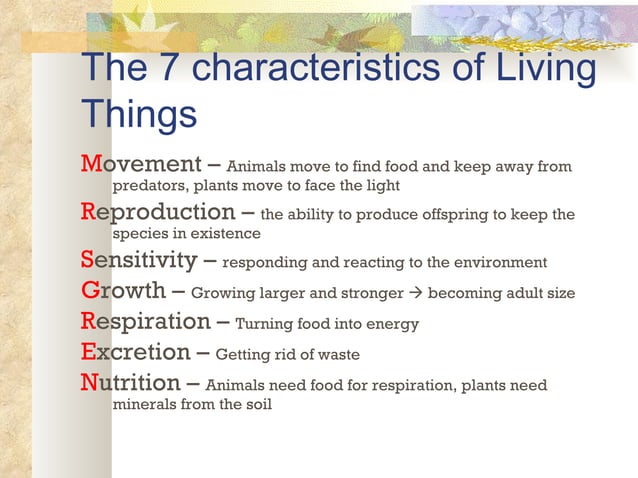 Mrs gren and kingdoms | PPT