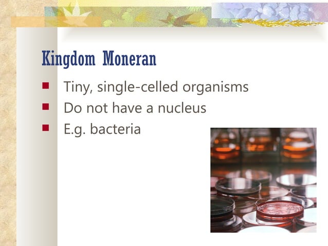Mrs gren and kingdoms | PPT