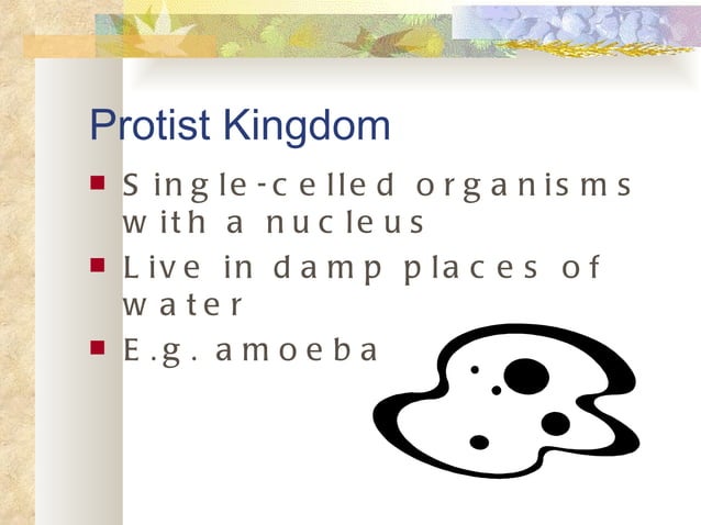 Mrs gren and kingdoms | PPT