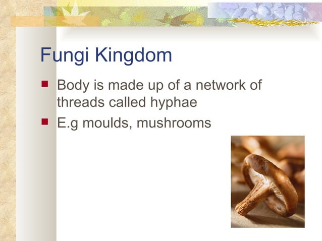 Mrs gren and kingdoms | PPT