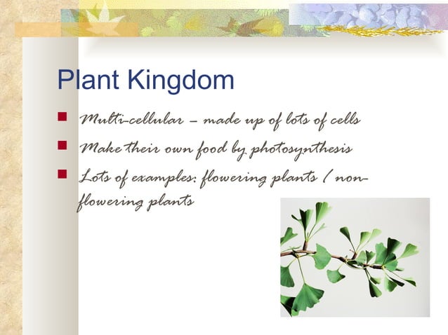 Mrs gren and kingdoms | PPT
