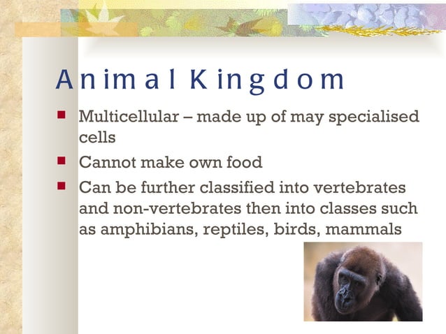 Mrs gren and kingdoms | PPT