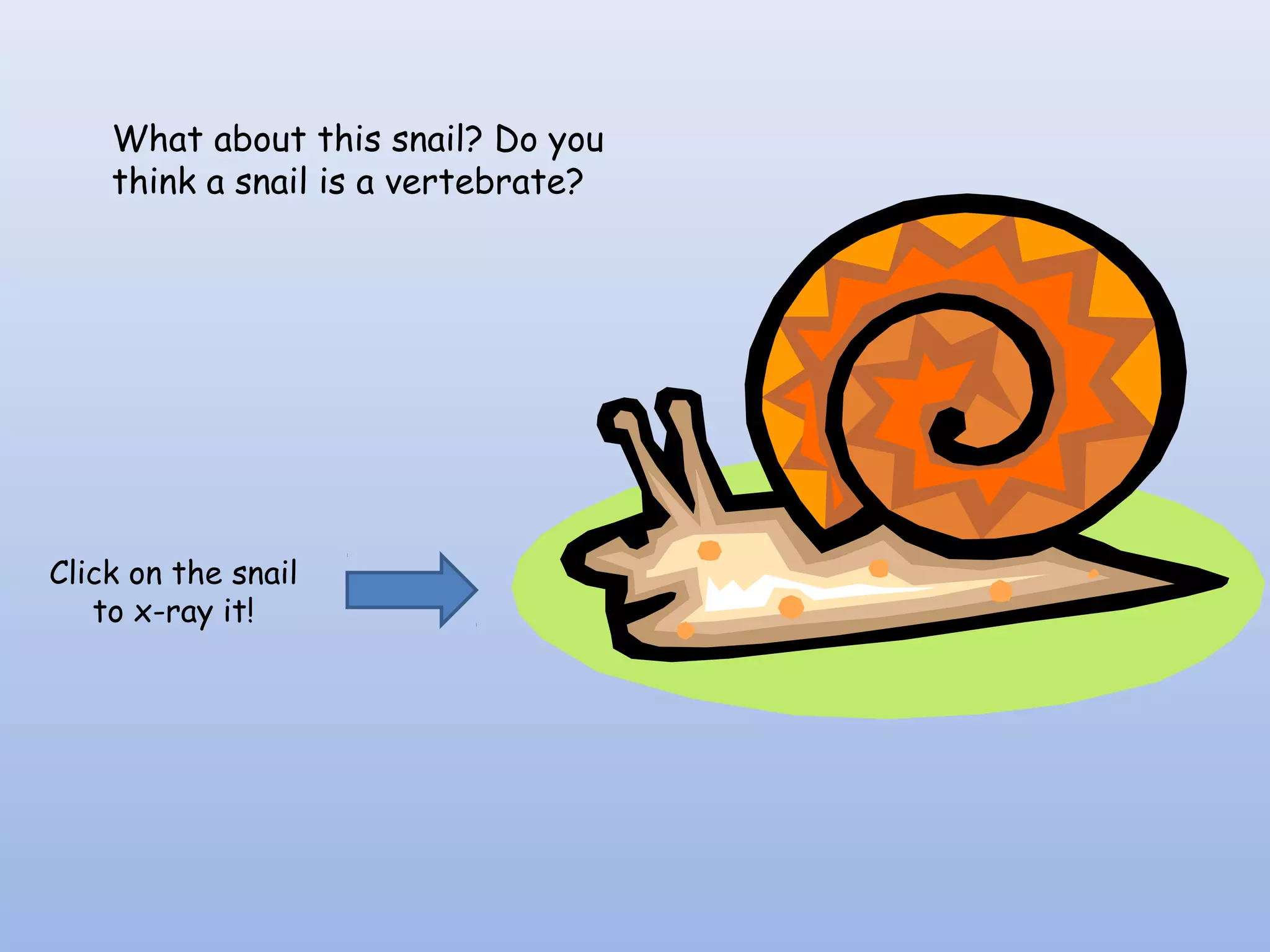 Invertebrates & Vertebrates x-ray_machine | PPT